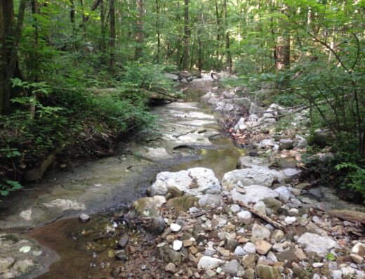 Burritt Nature Trails - Wildlife Park in Huntsville