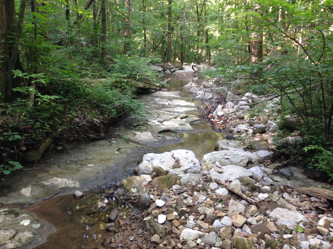 Burritt Nature Trails - Wildlife Park in Huntsville