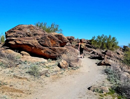 Blue Mountain Natural Area - Hiking in Roland