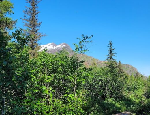 Lake Nicol Spillway - Scenic Park in Tuscaloosa